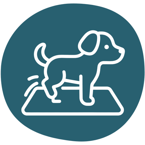 Litter Zero · LitterZero.